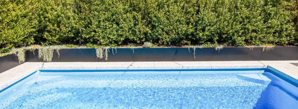 Spruce Up Your Poolscape With Plants - Newcastle Swimming Pools